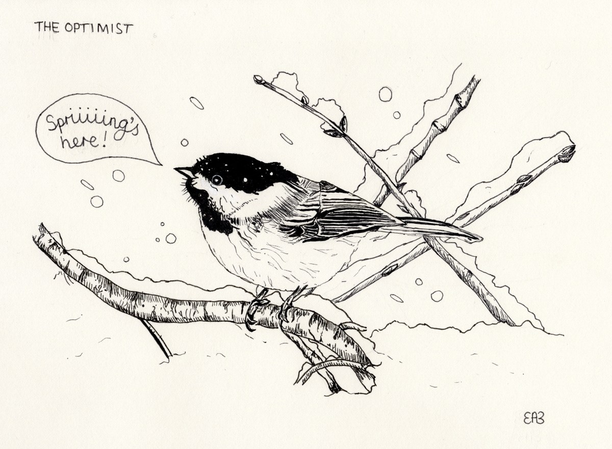 Bird personalities – eabcreative